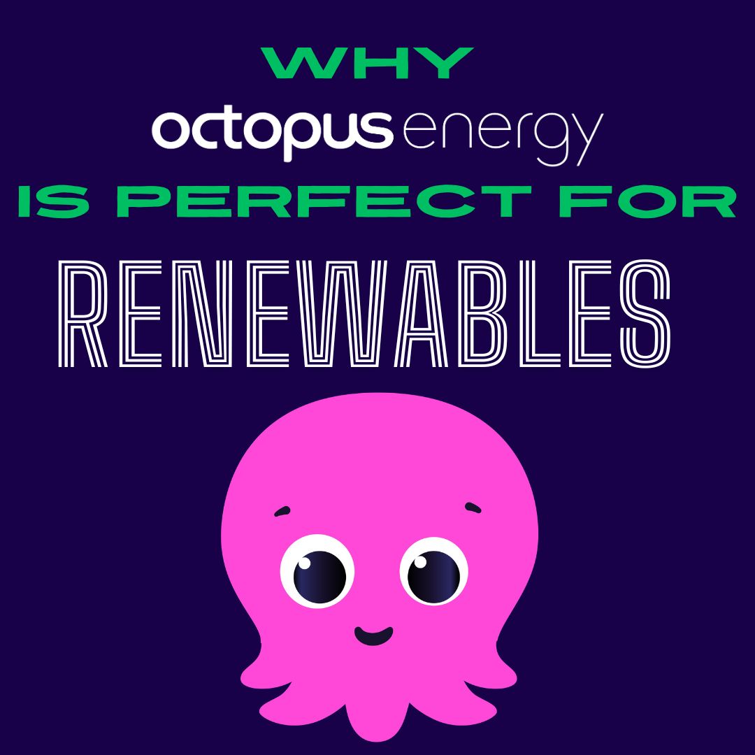 Why Octopus Energy Is the Perfect Partner for Renewables | Nano Protech